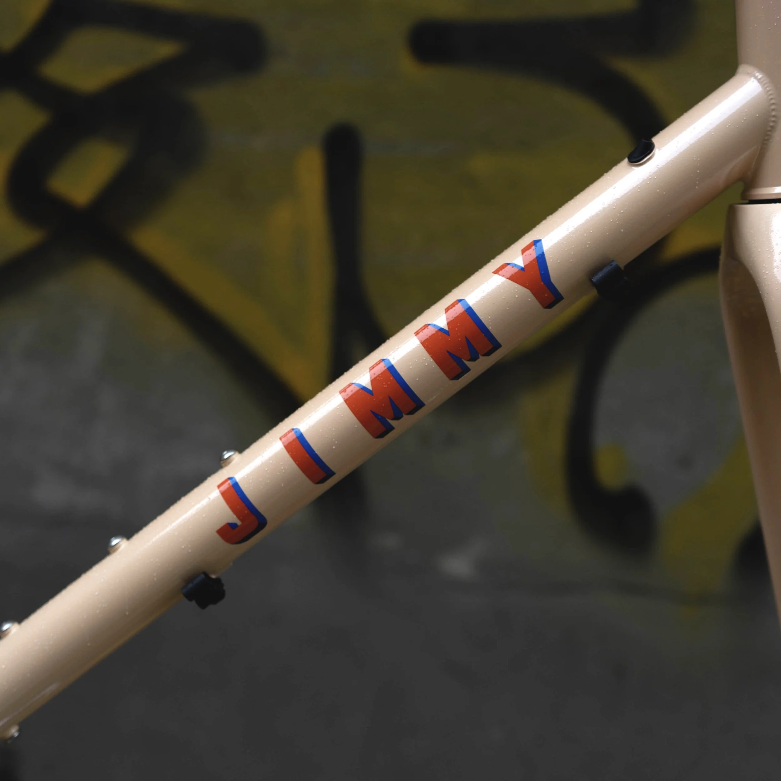 Jimmy - Steel Gravel Bike Packing Bike