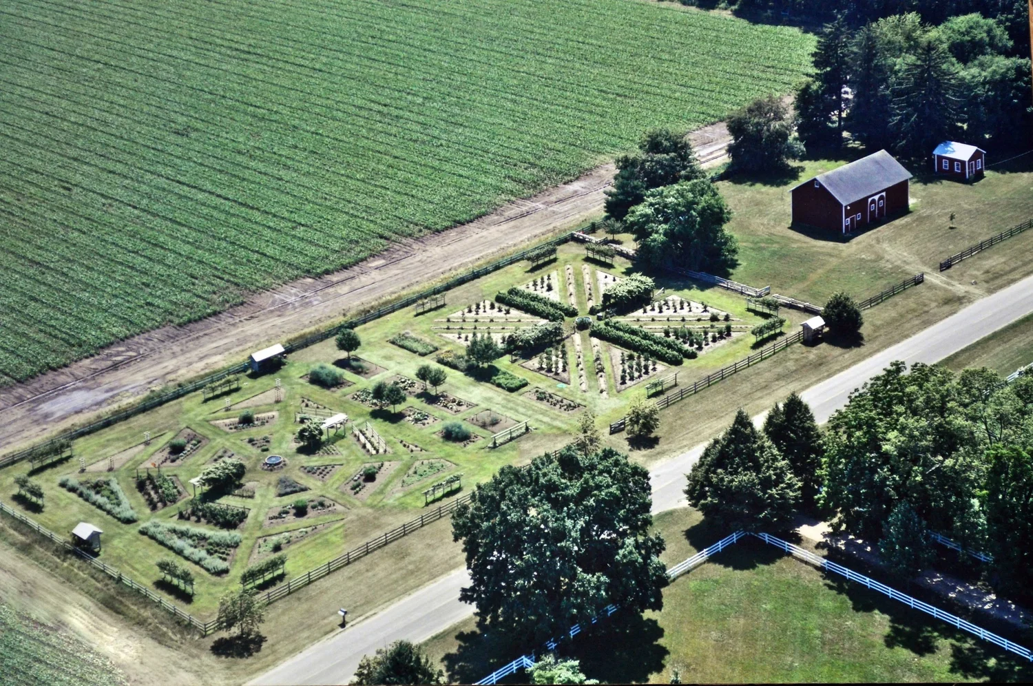 About — David Small