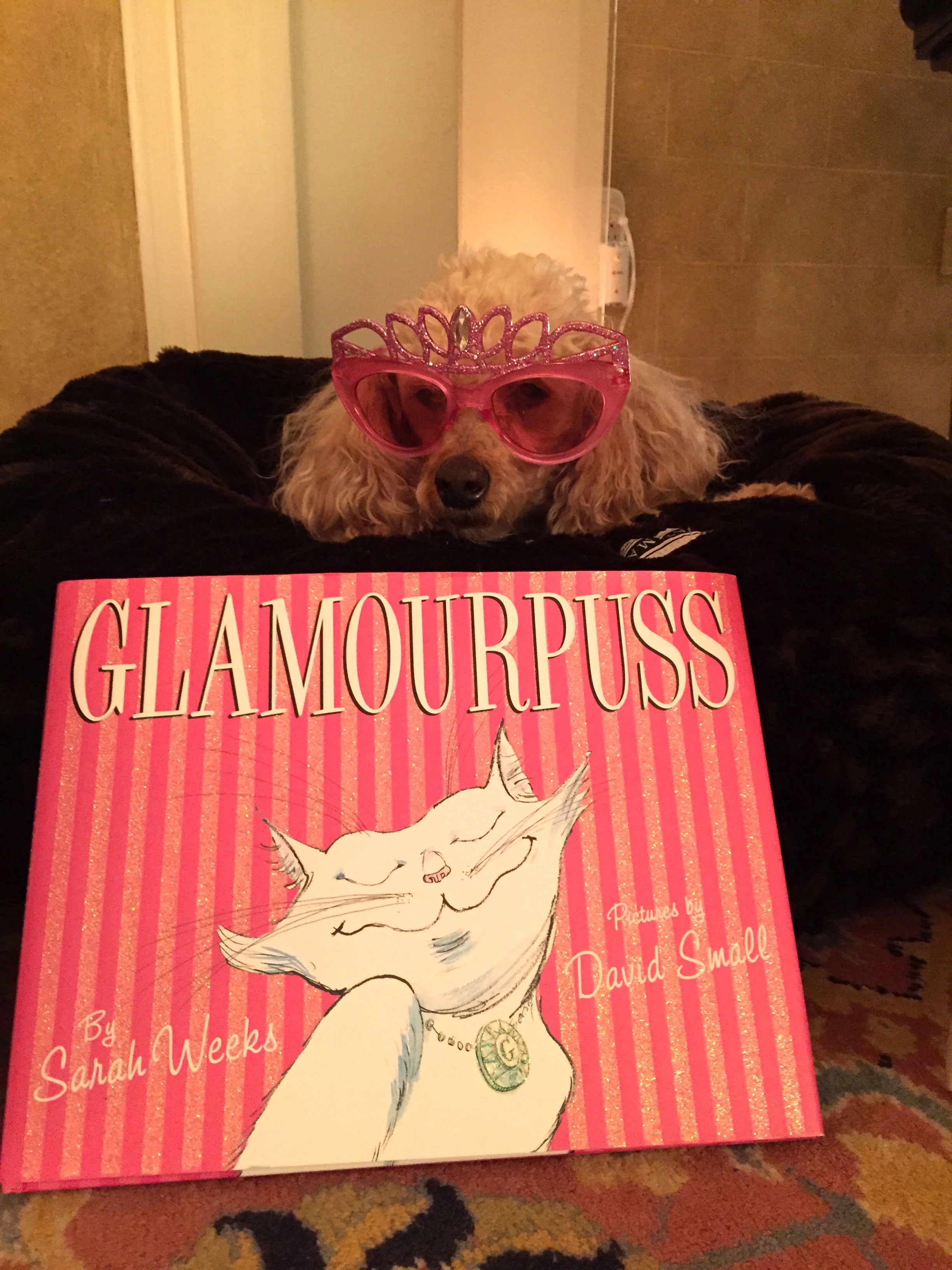 News — David Small