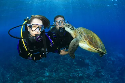 Learn to SCUBA — Southeastern Divers, Inc.