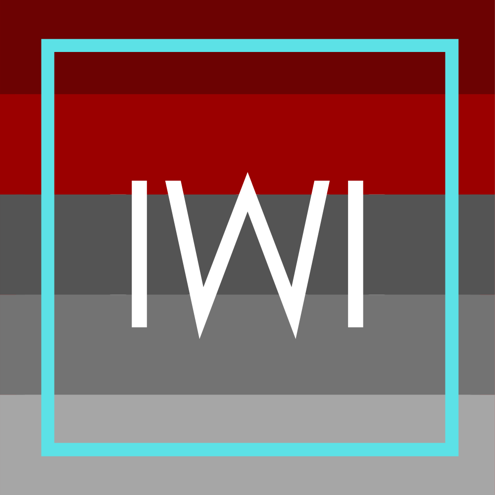 The IWI: International Women's Initiative