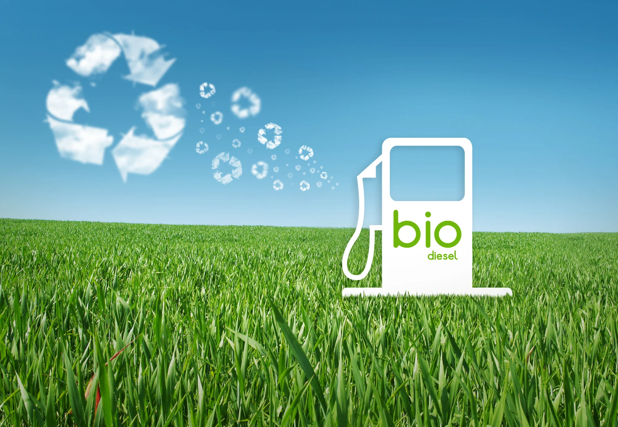 Biodiesel Presentation