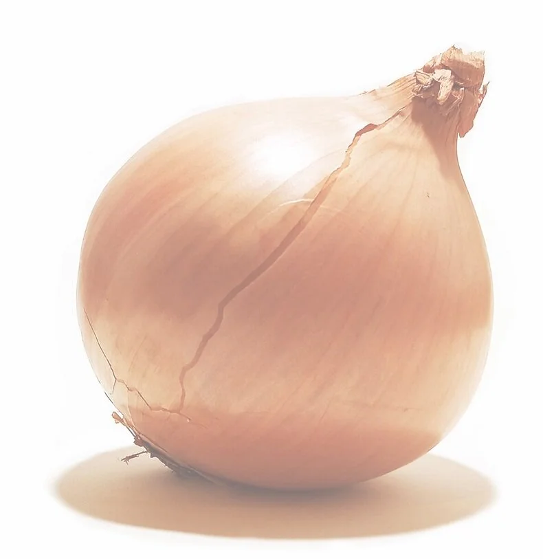 Aseptic Onions — Red Oak Foods