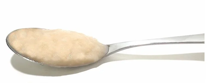 Aseptic Cooked Onions — Red Oak Foods