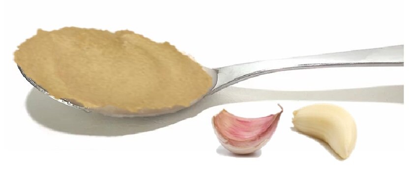 Aseptic Onions — Red Oak Foods