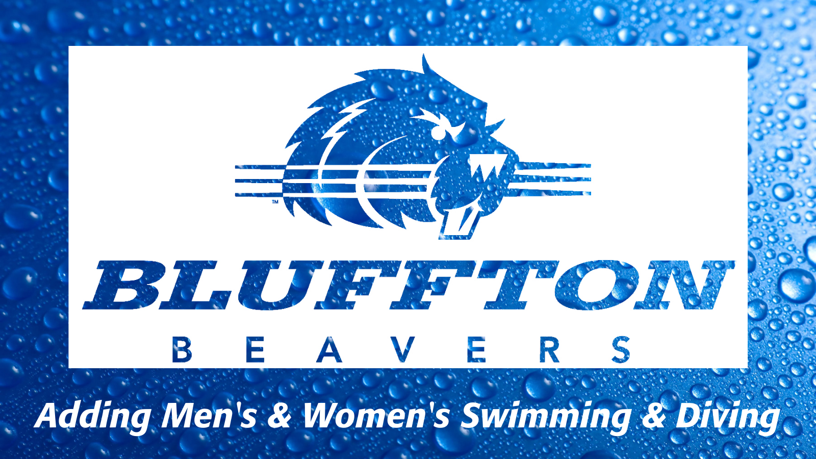 Bluffton Logo