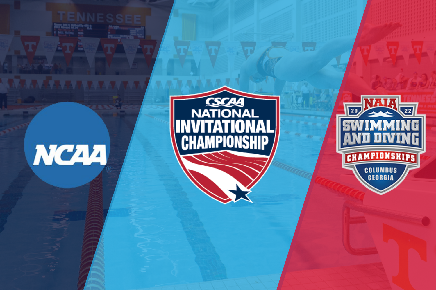 2023 Championship Standards Released – College Swimming and Diving ...