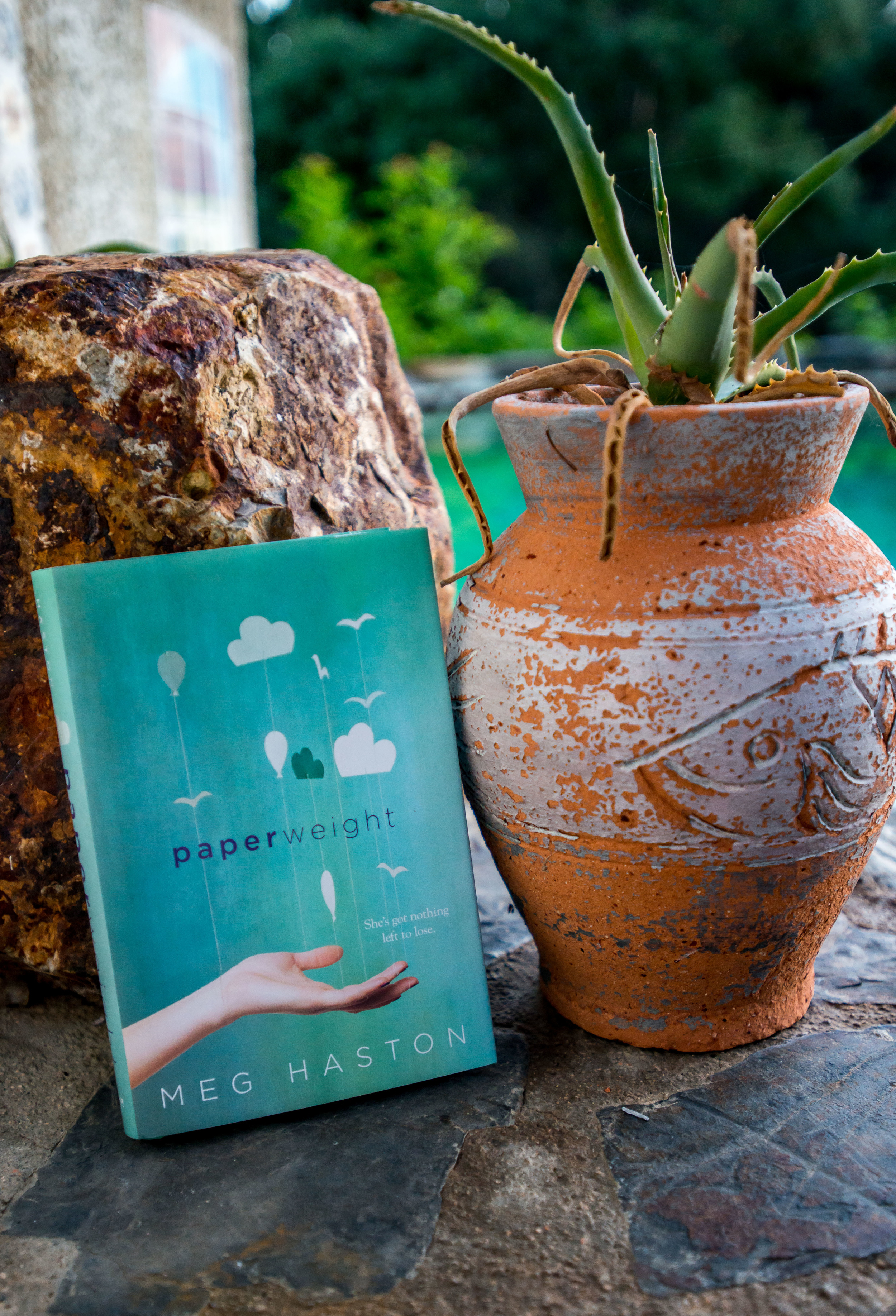 BOOK CLUB: Paperweight by Meg Haston — the book carousel