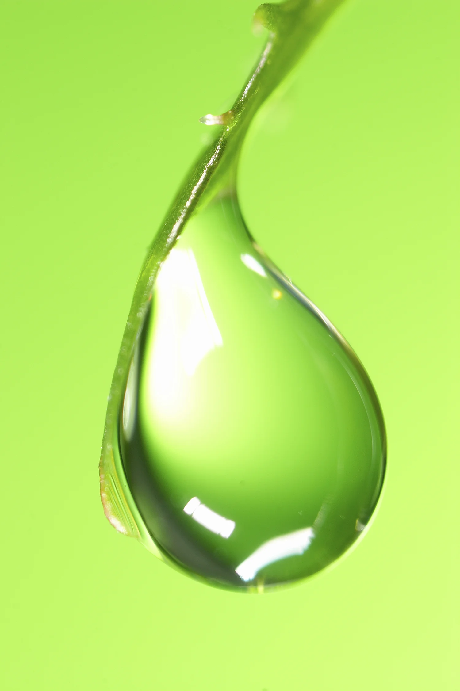 Home - Hilltech Canada