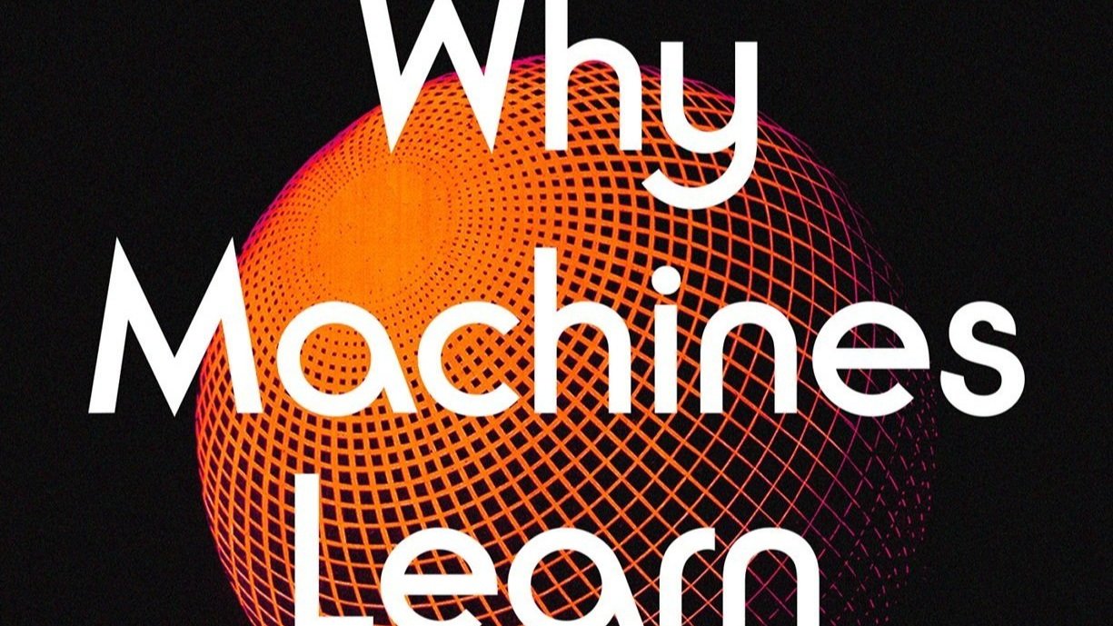 Why Machines Learn Why Machines Learn