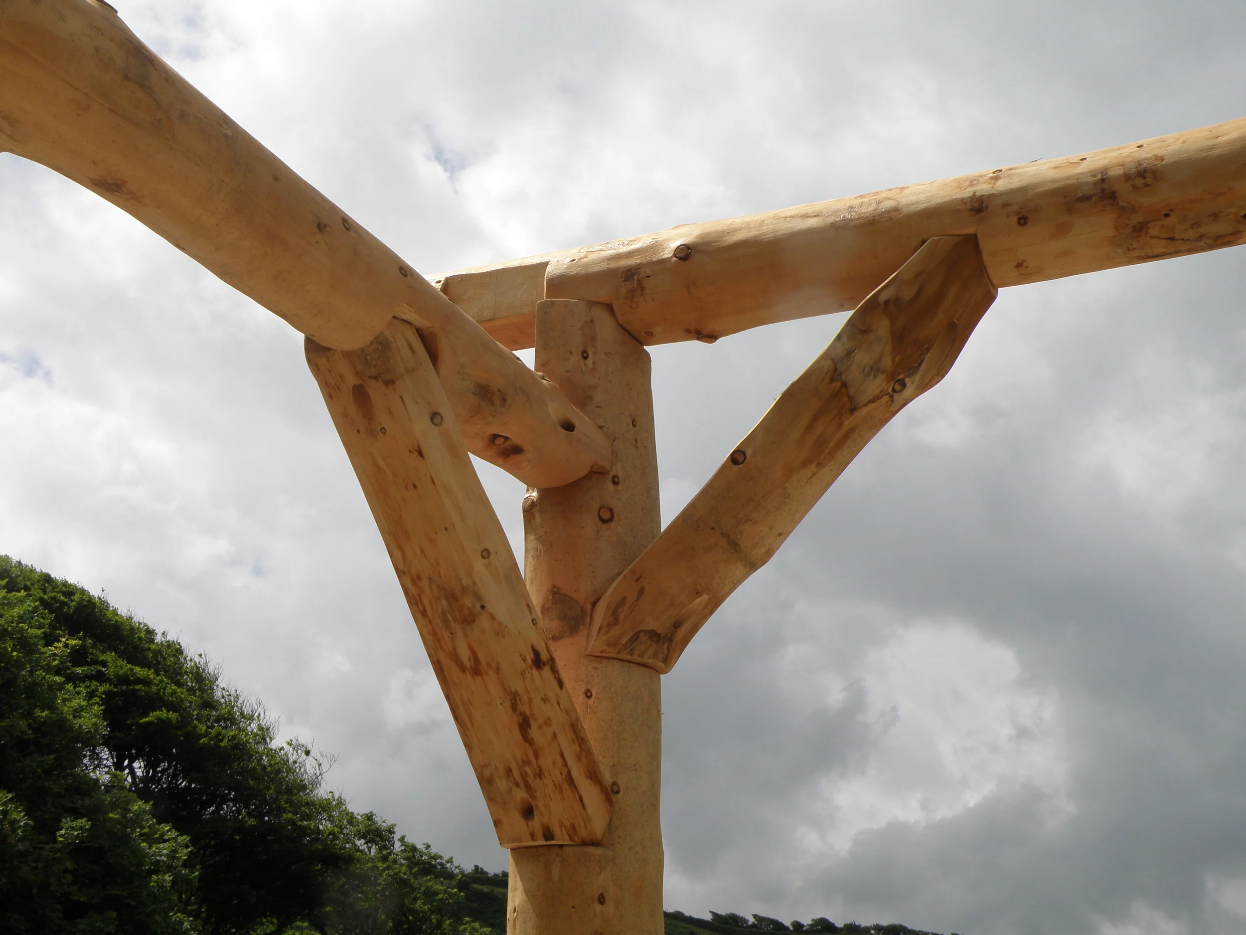 Frame for a Solar Barn — Roundwood Design