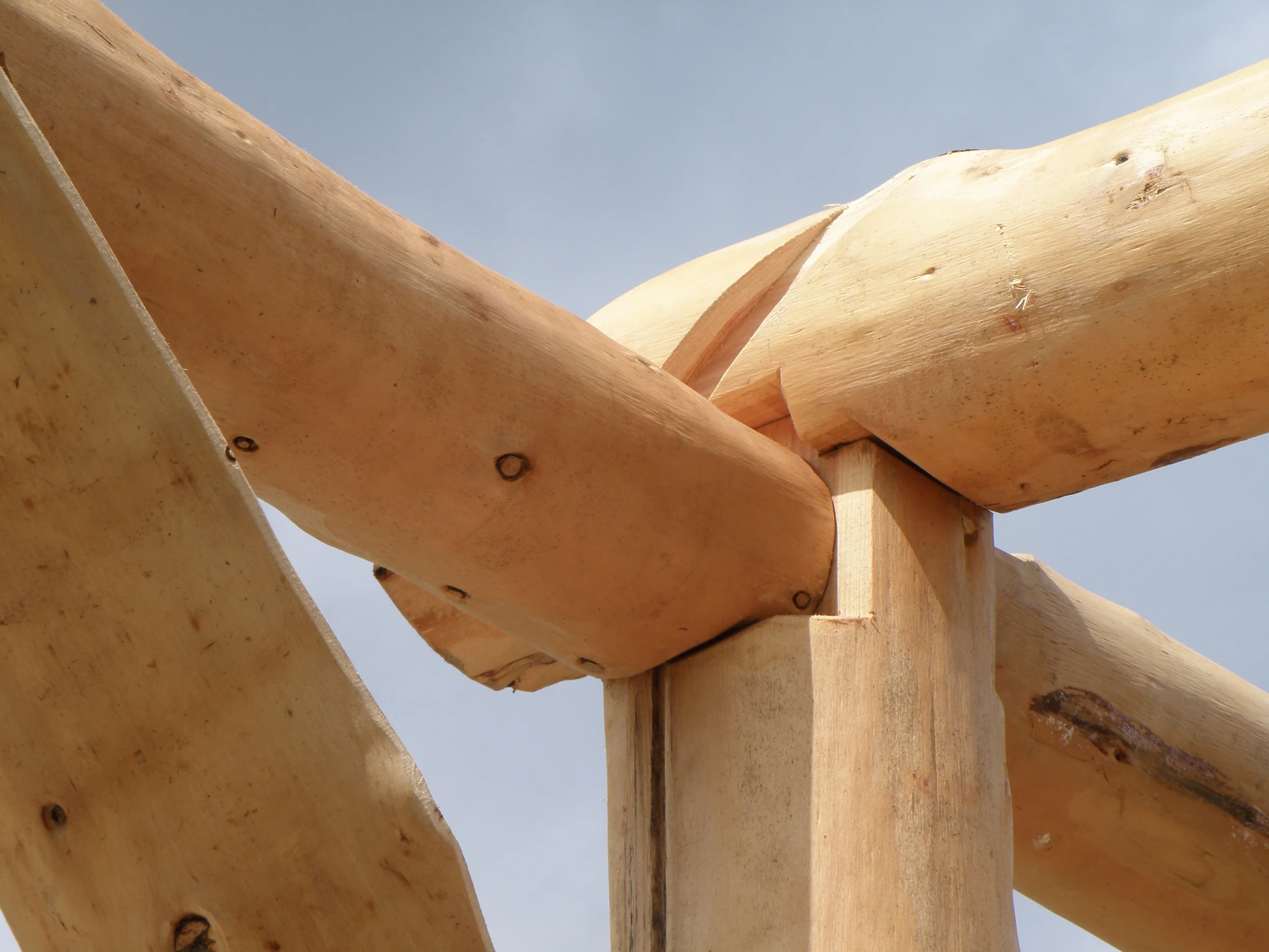 Frame for a Solar Barn — Roundwood Design