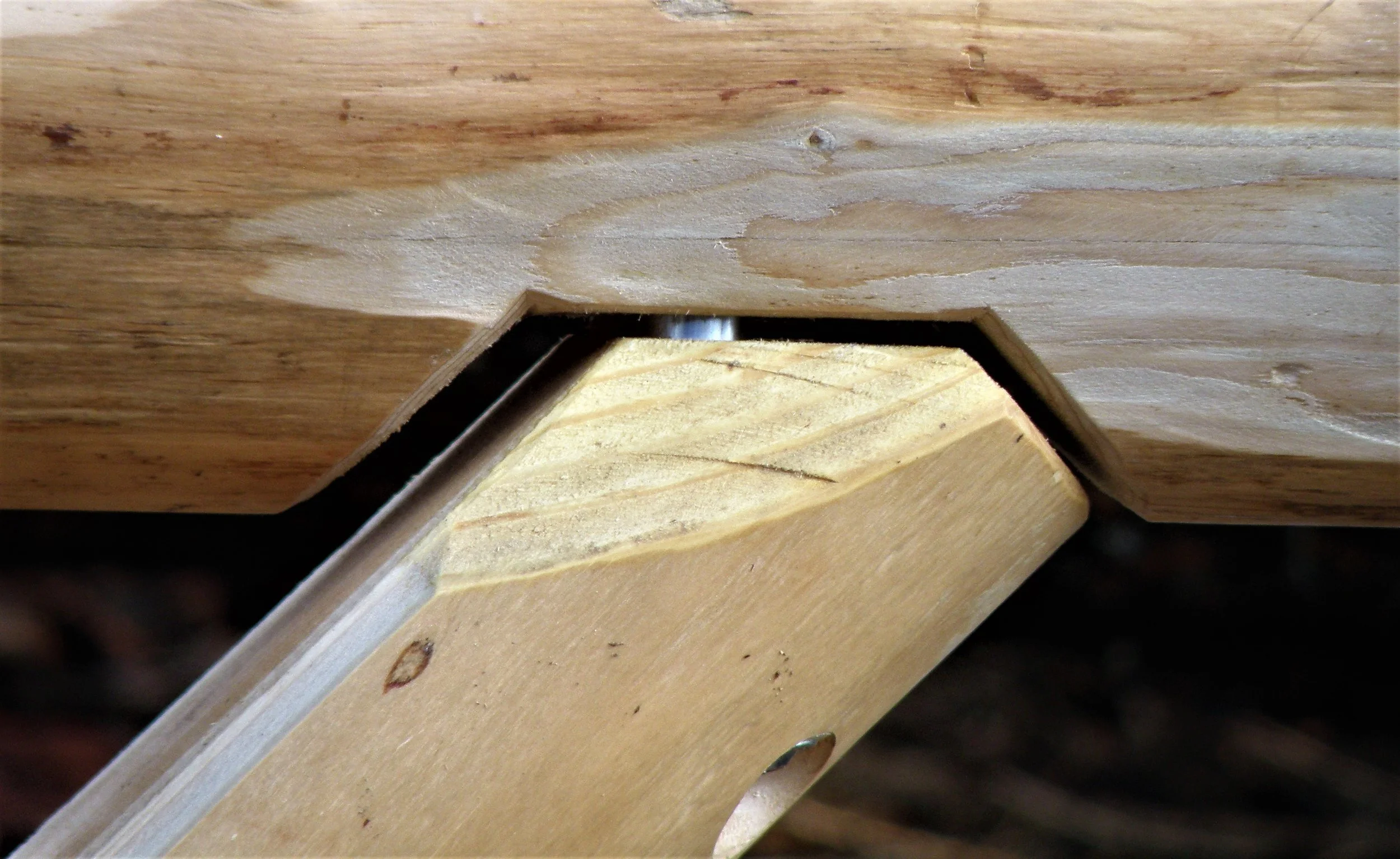 Sustainable timber design and build services — Roundwood Design