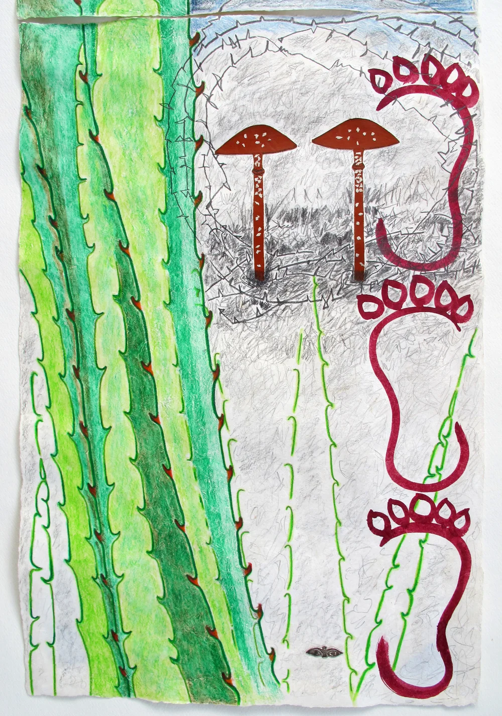 Vision Scroll- VQ Series — Nancy Aleo