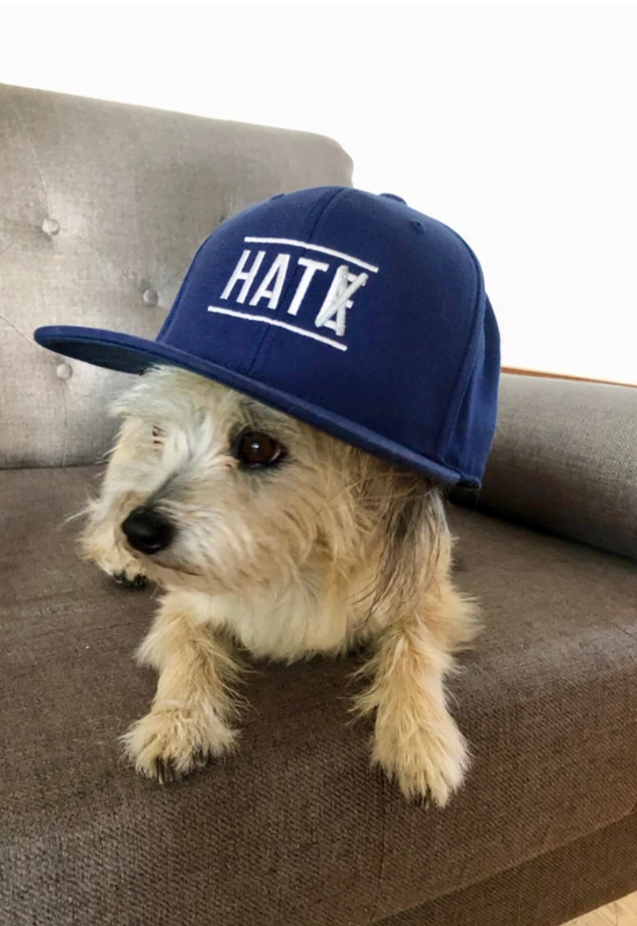 ALL ABOUT HATX HATS! — THAT PRETTY RUNNER