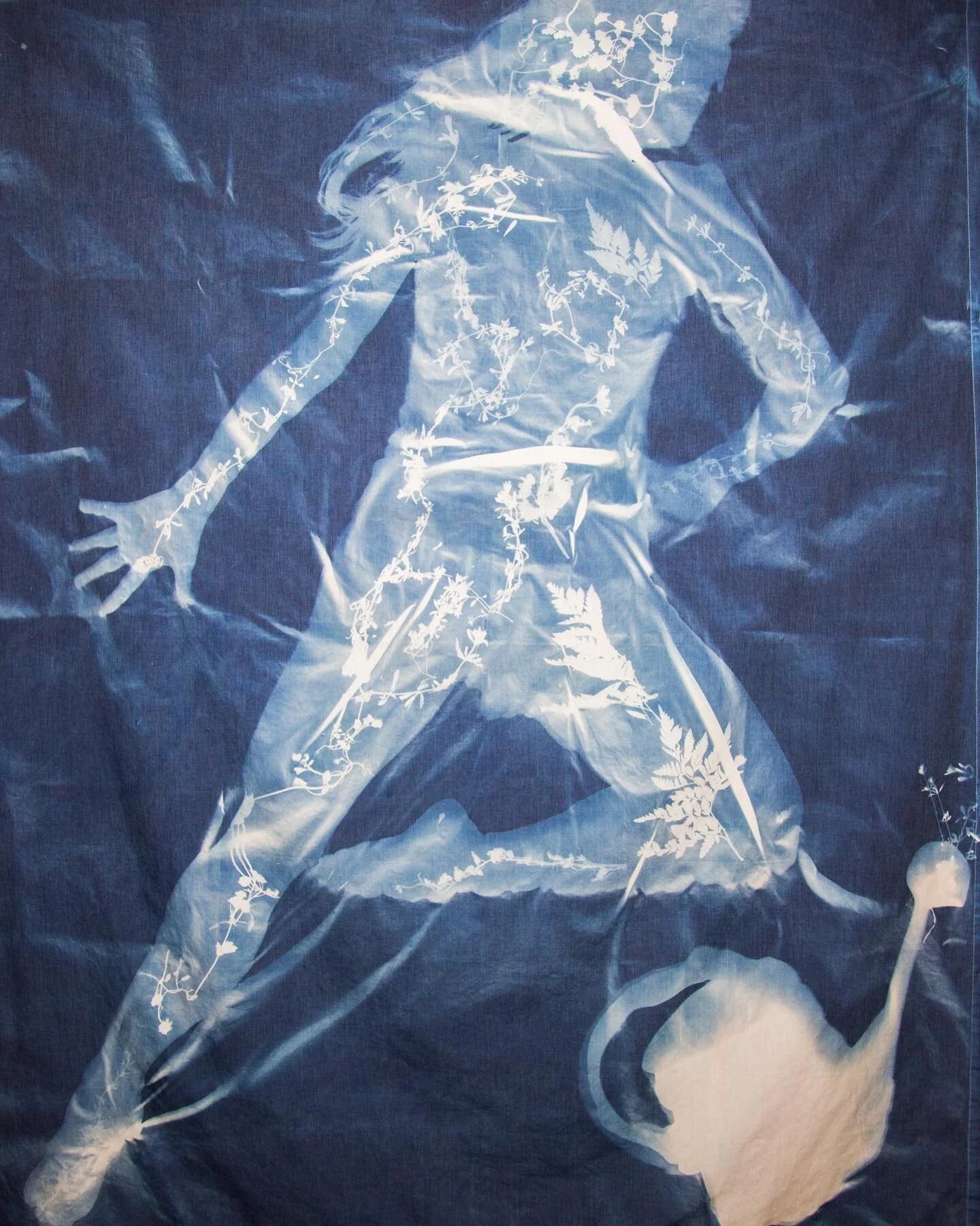 Cyanotypes — TexasGirl Photography