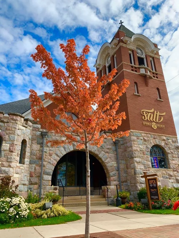 Salt Springs Brewery