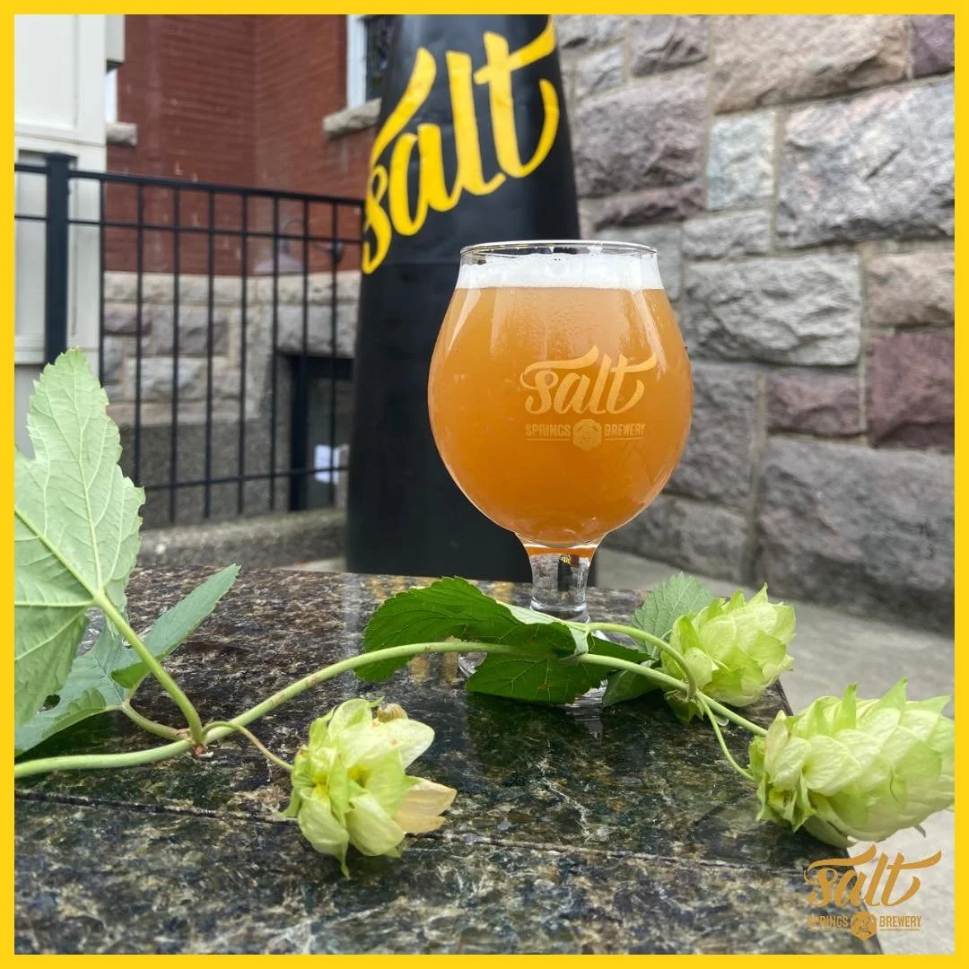 Salt Springs Brewery | Food, Beer, Soul