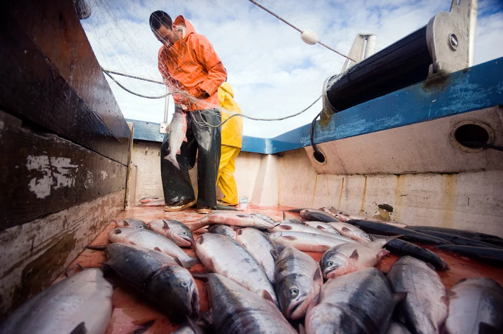 Commercial Fishing — Save Bristol Bay