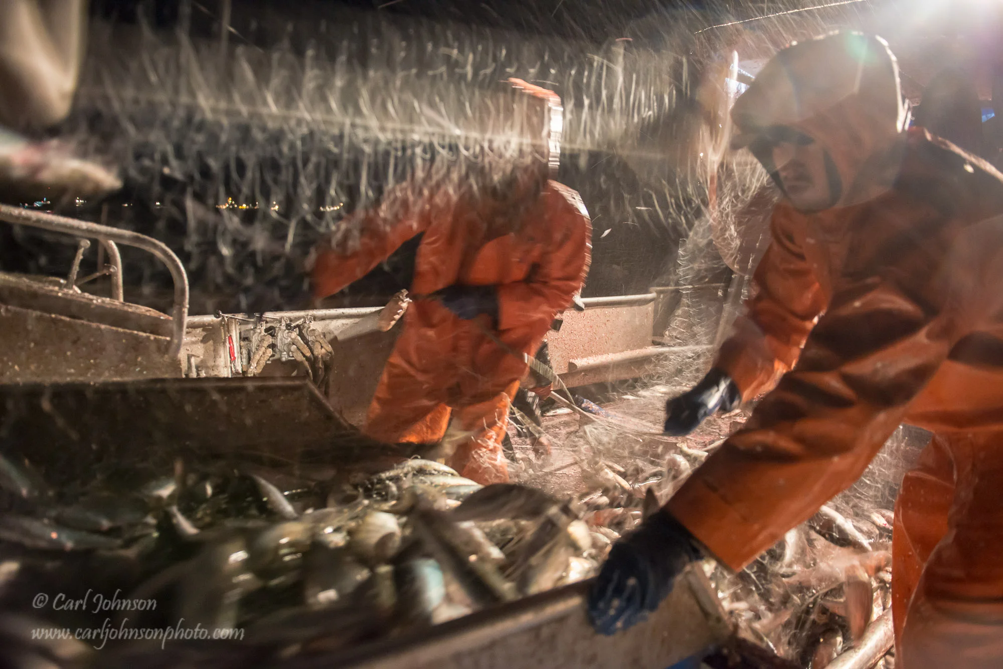 Commercial Fishing — Save Bristol Bay