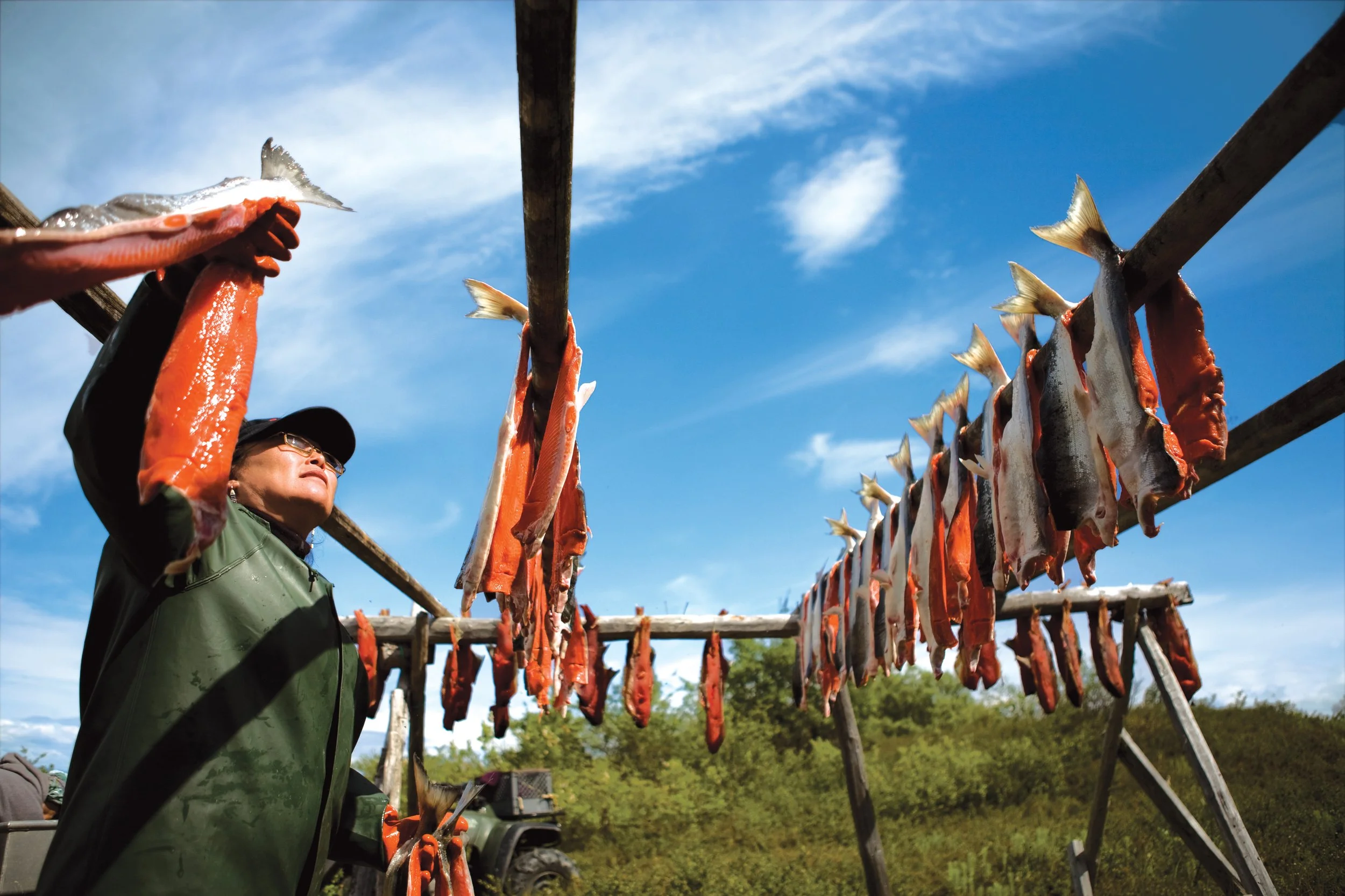 U.S. Army Corps of Engineers says no to Pebble. Again. — Save Bristol Bay