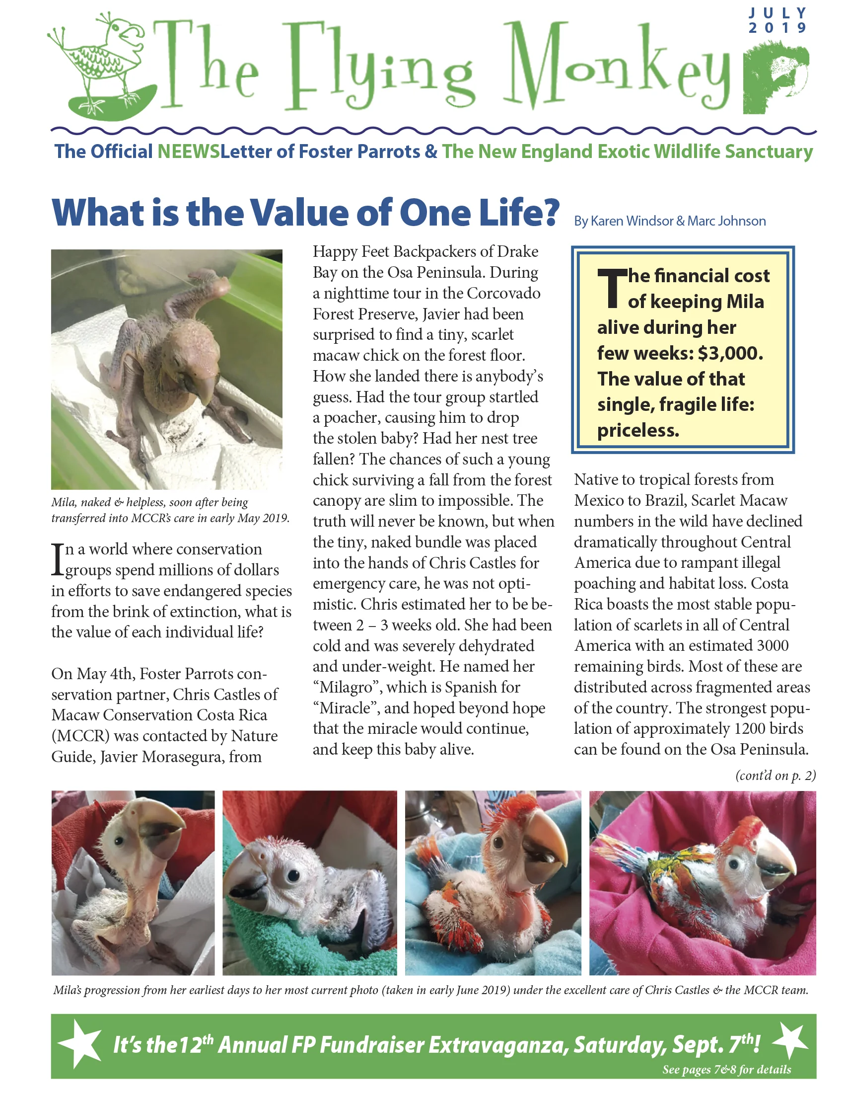 Macaw Conservation in Costa Rica