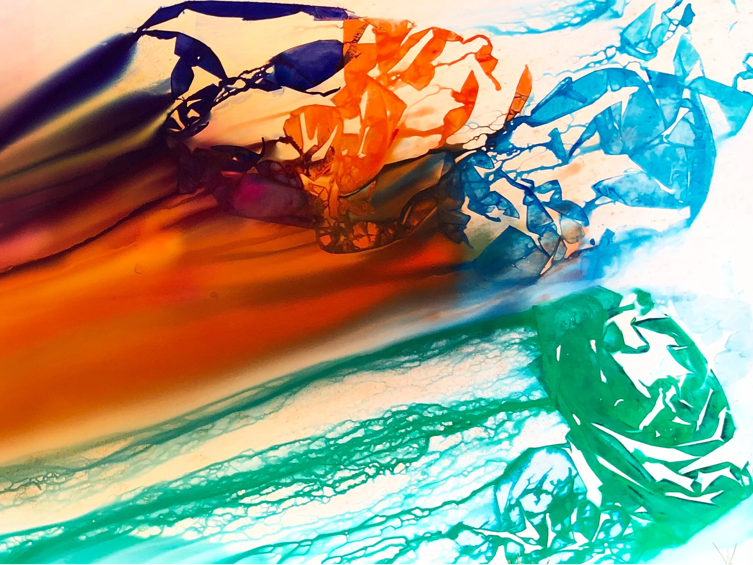 Available Artwork — Maya Freelon