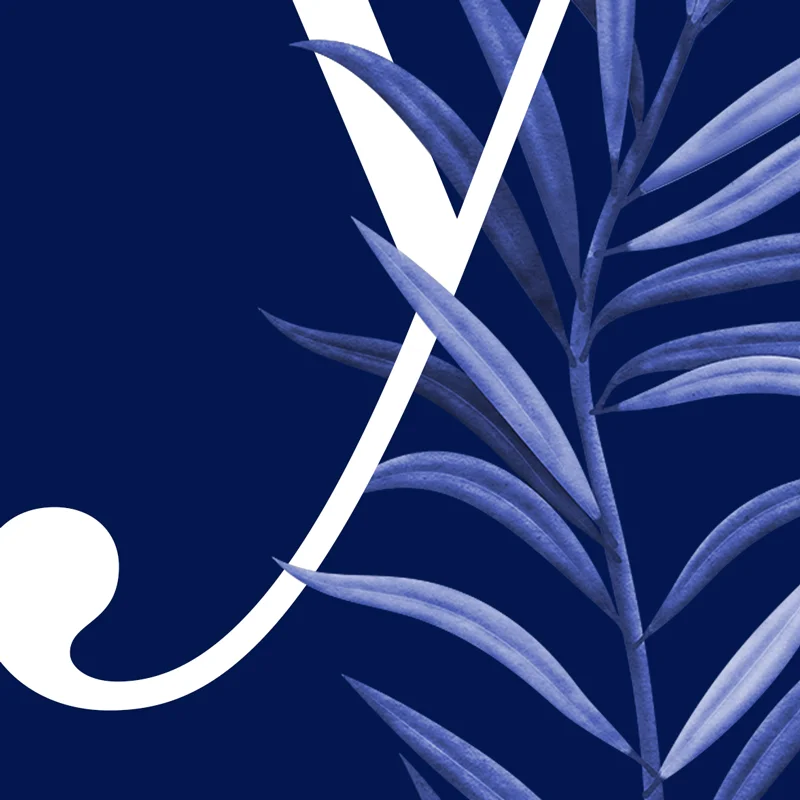 portfolio — Cass Mackenzie