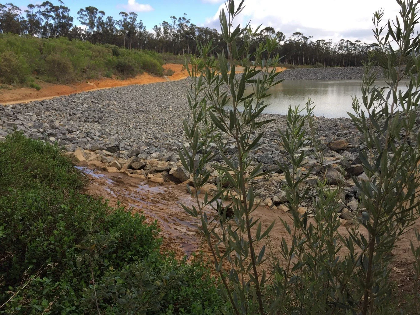 Rehabilitation of the Ertjieskloof dam — Borehole Water Association of ...