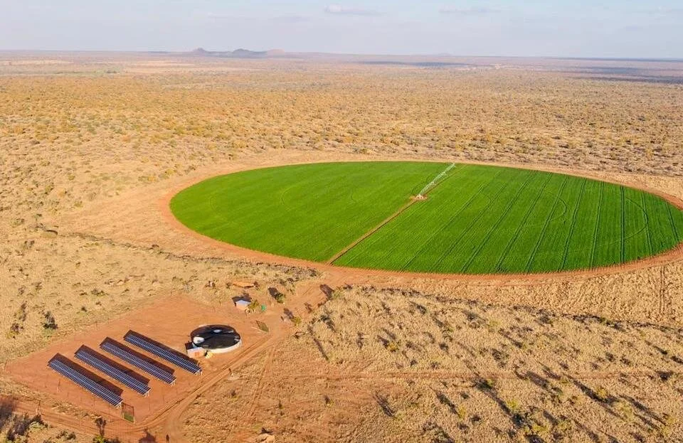 Solar-powered farm shows the way — Borehole Water Association of ...