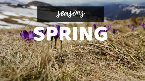 Seasons : Spring — Brittany Rust