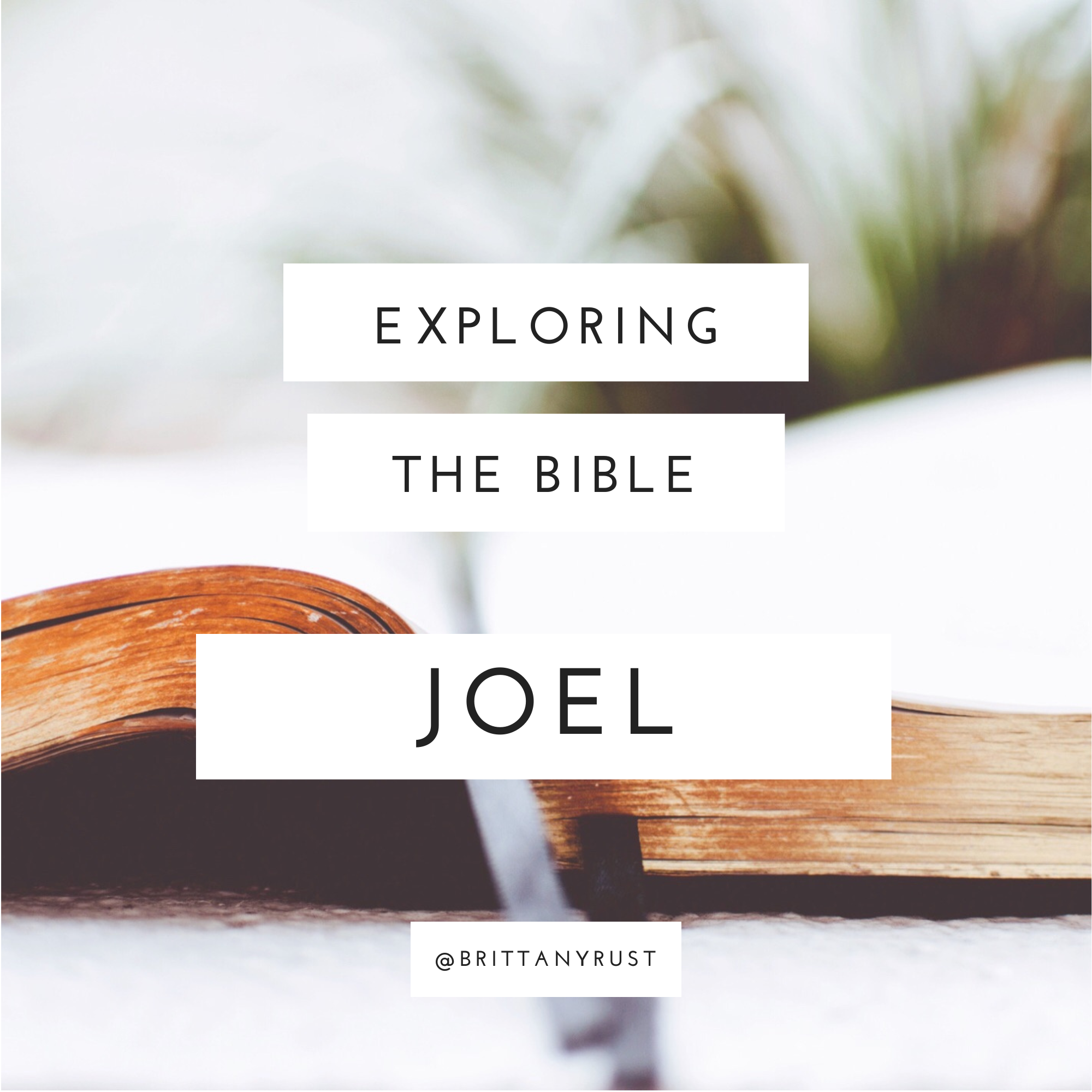 Brittany Rust — Truth x Grace Ministries