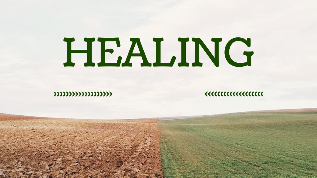 The Perseverance to Proper Healing — Brittany Rust