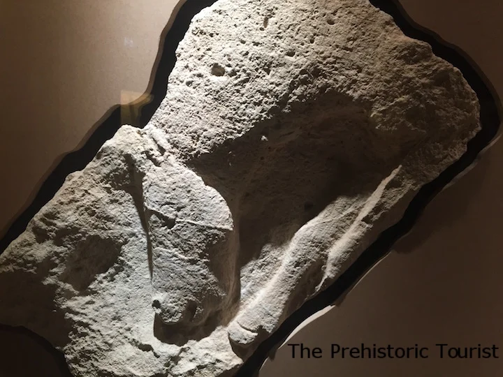 French National Archaeology Museum (Paris) — The Prehistoric Tourist