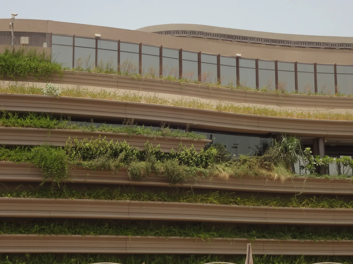 Dubai's Journey of Color — Color Consulting in Dubai | UAE ...