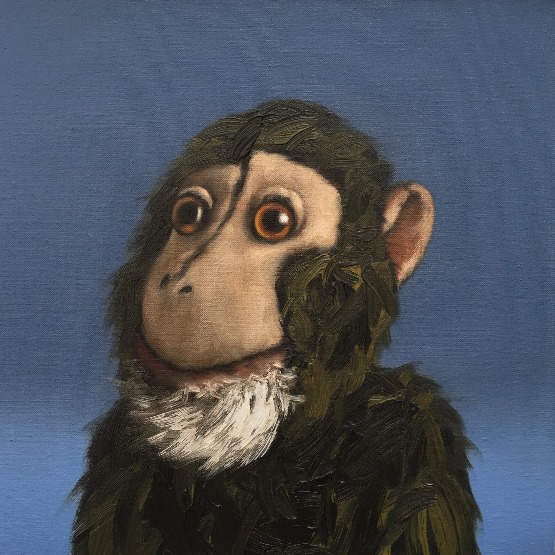 paintings — Peter Jones