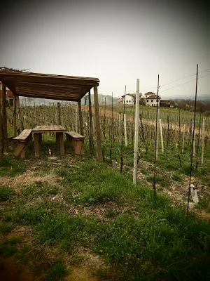 Poderi Cellario — SelectioNaturel