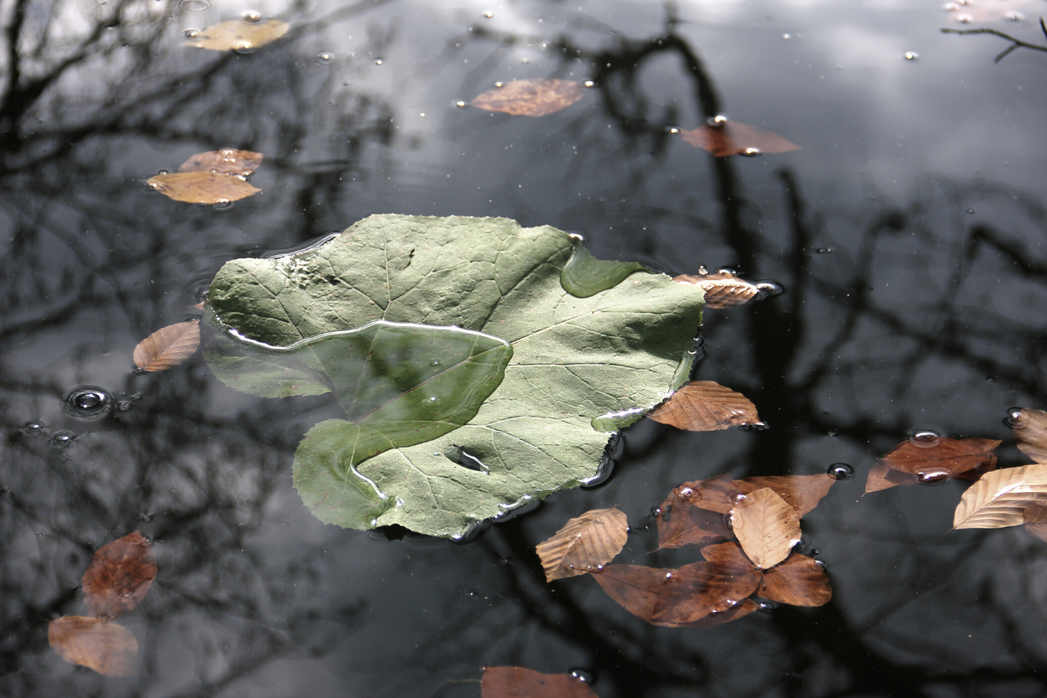 Is it a Worry or an Obsession? Knowing When to Ask for Help ...