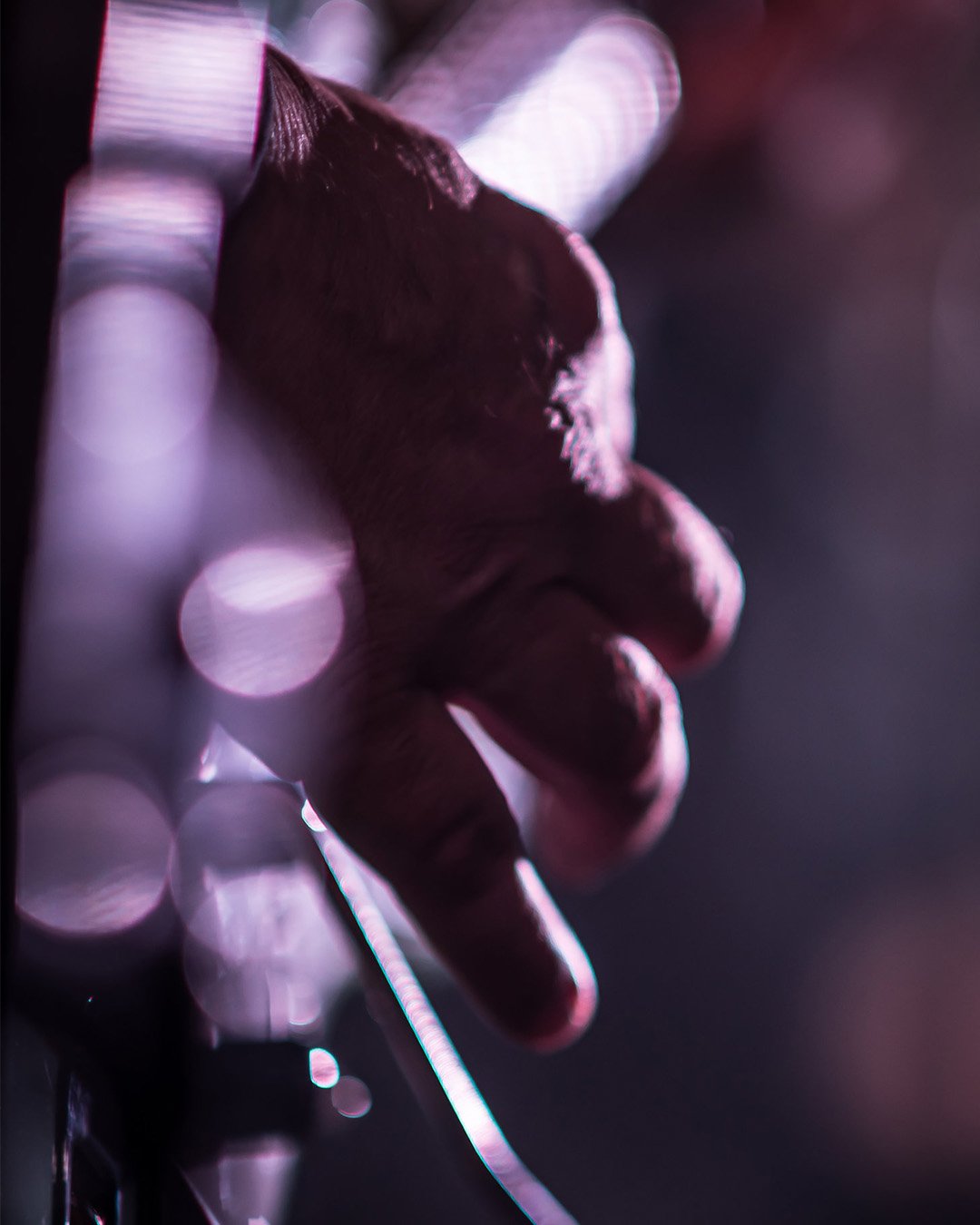 The Flying Toasters - Band Members - Orvis — The Flying Toasters