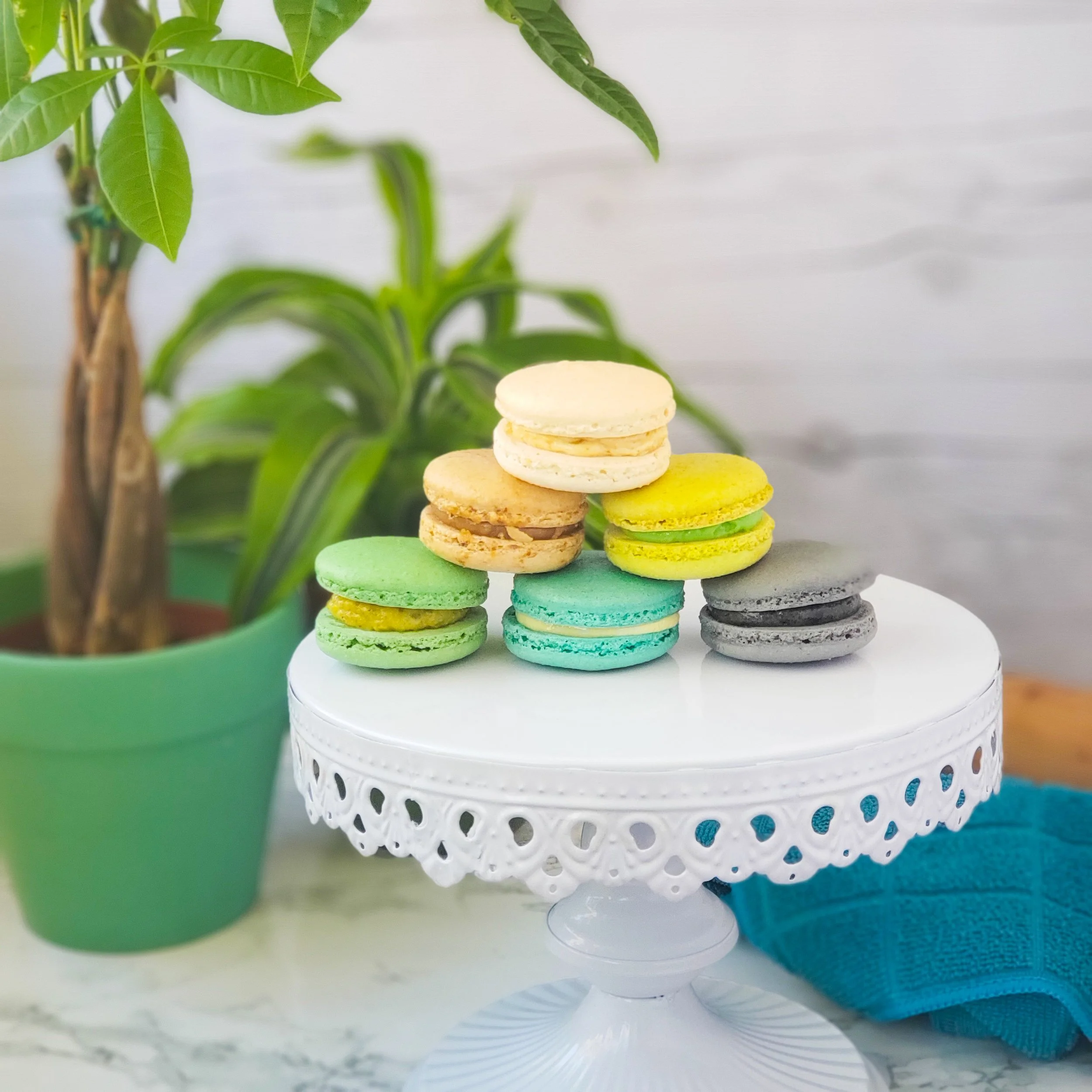 Unique Macarons — Munch Bakery