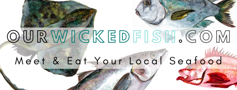 Our Wicked Fish - New England
