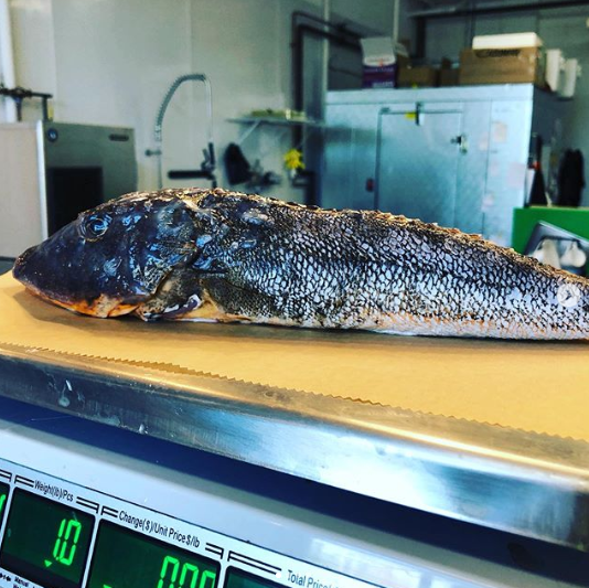 A Day of Local Seafood in Providence: Fearless Fish Market — Our Wicked ...