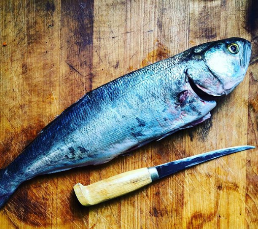 A Day of Local Seafood in Providence: Fearless Fish Market — Our Wicked ...