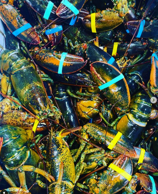 Boat to Table with Westport Lobster Company's Skip Manchester - Part 1 ...