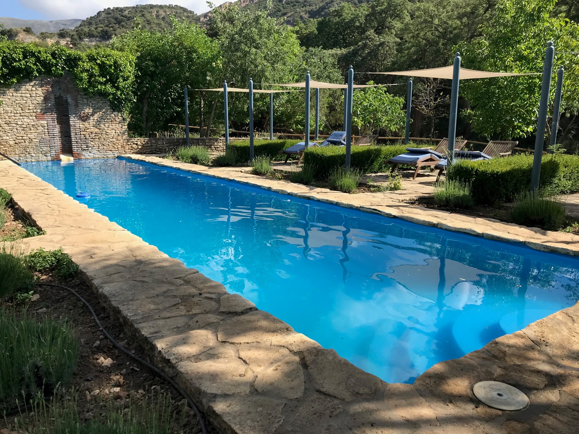 Stealing Beauty Swimming Pool