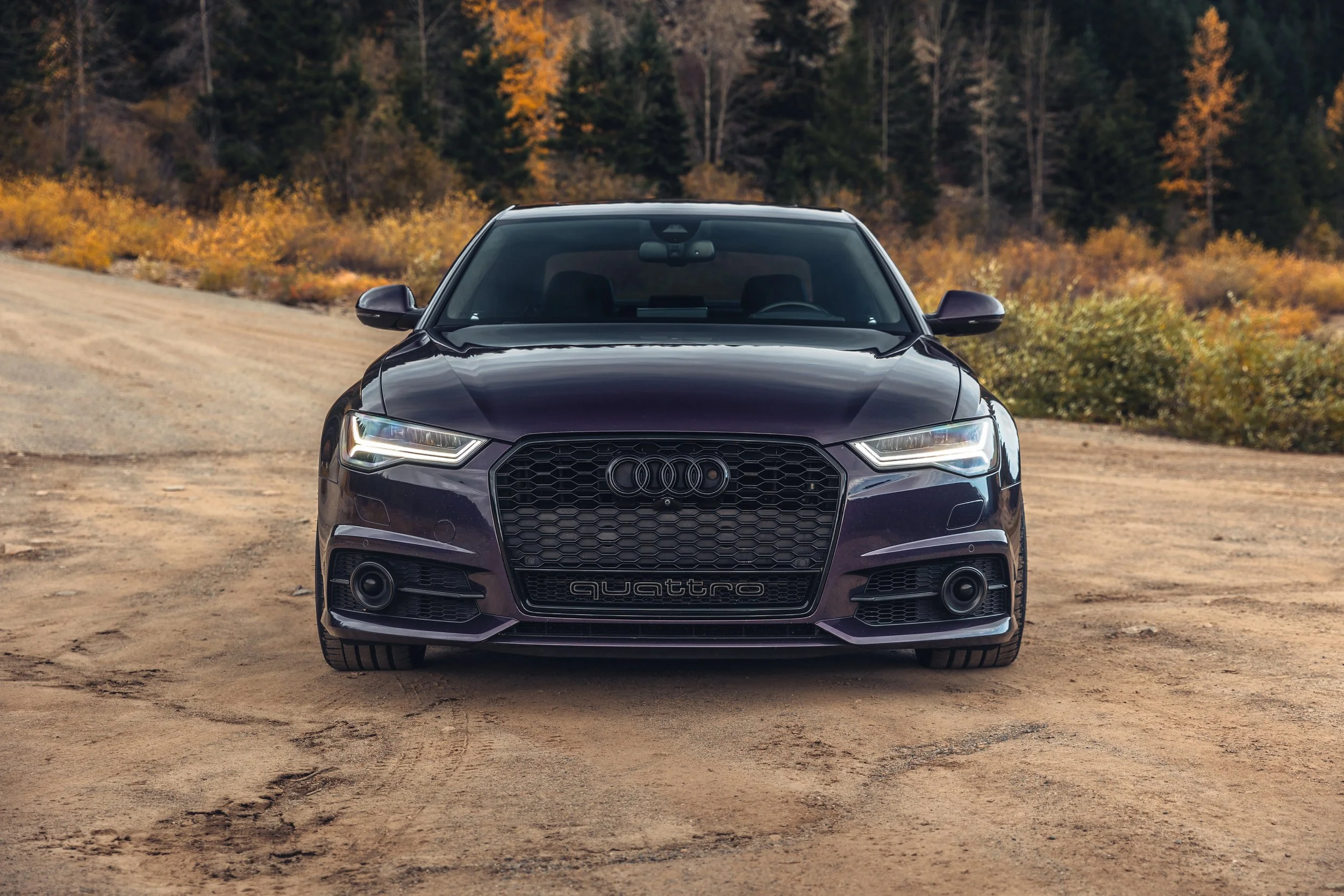 For Sale: 2016 Audi S6 Exclusive - Merlin Purple Prestige Package