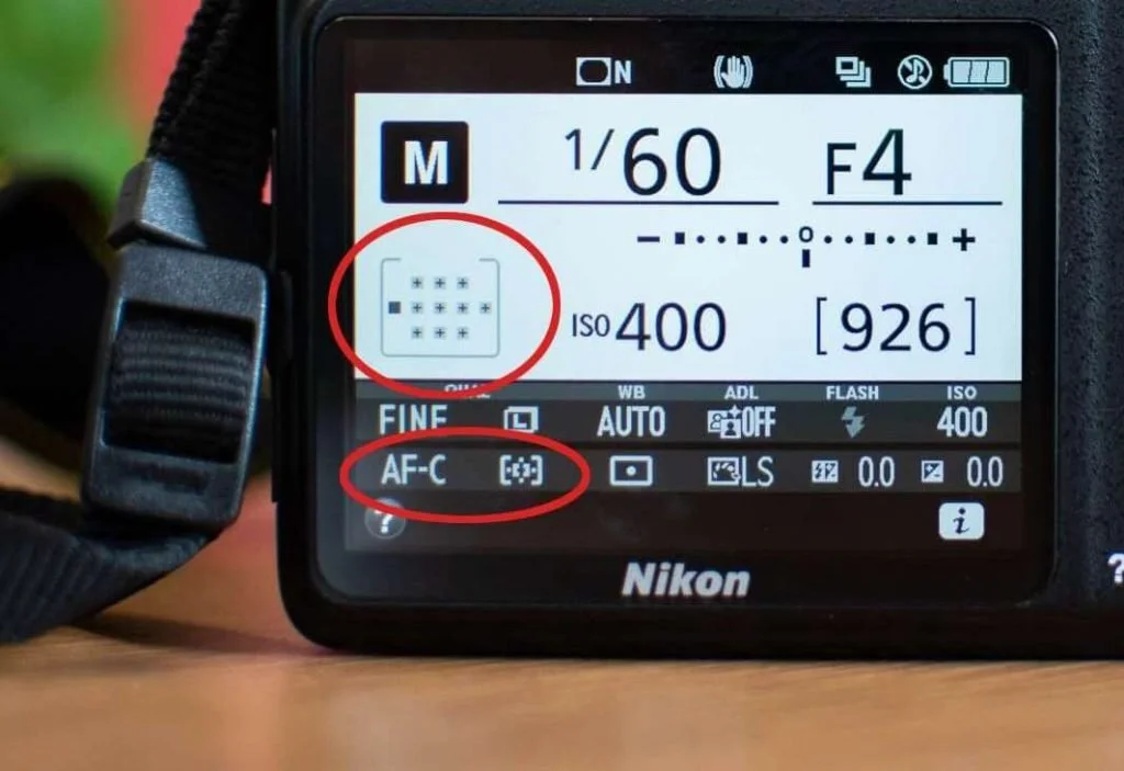 Continuous or Single Shot Autofocus? — The Photo Video Guy