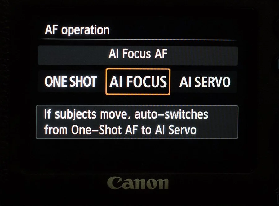 Continuous or Single Shot Autofocus? — The Photo Video Guy