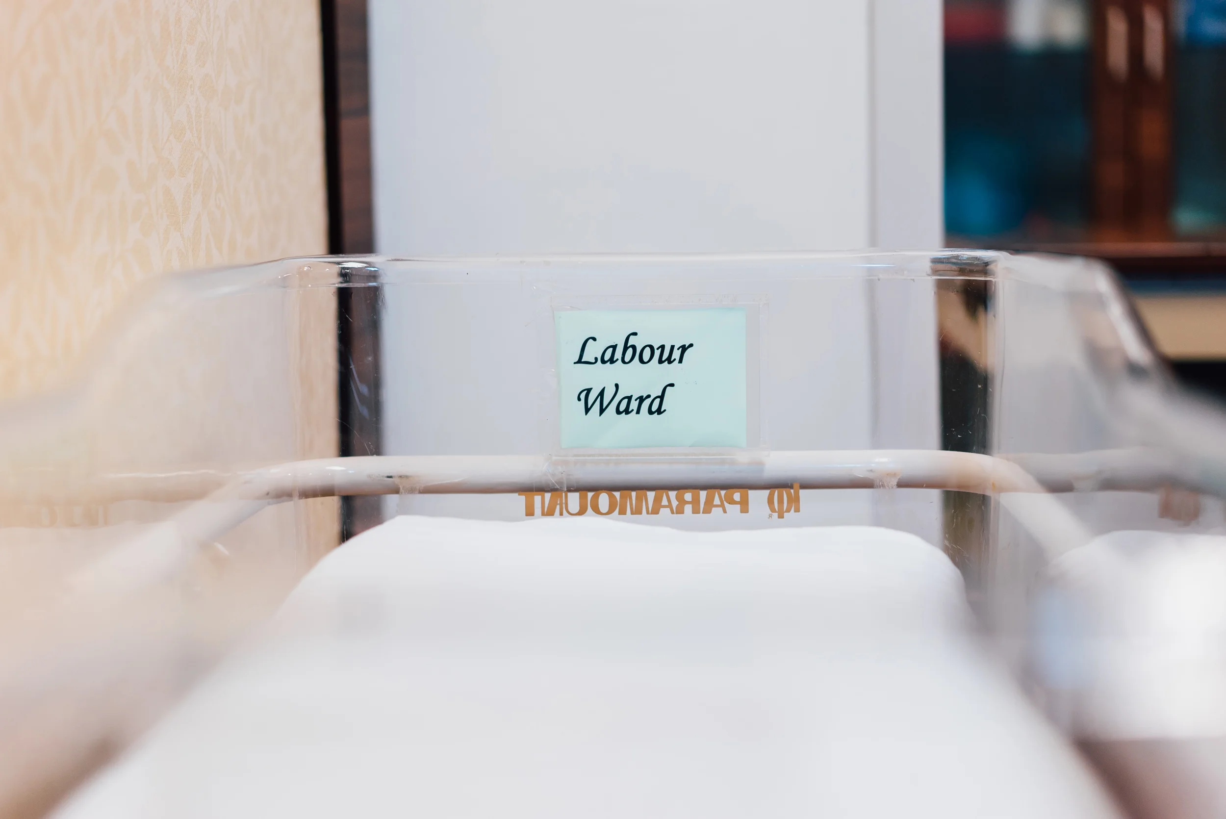 Celebrating the Birth of Chrishaun — Chris Chang Photography