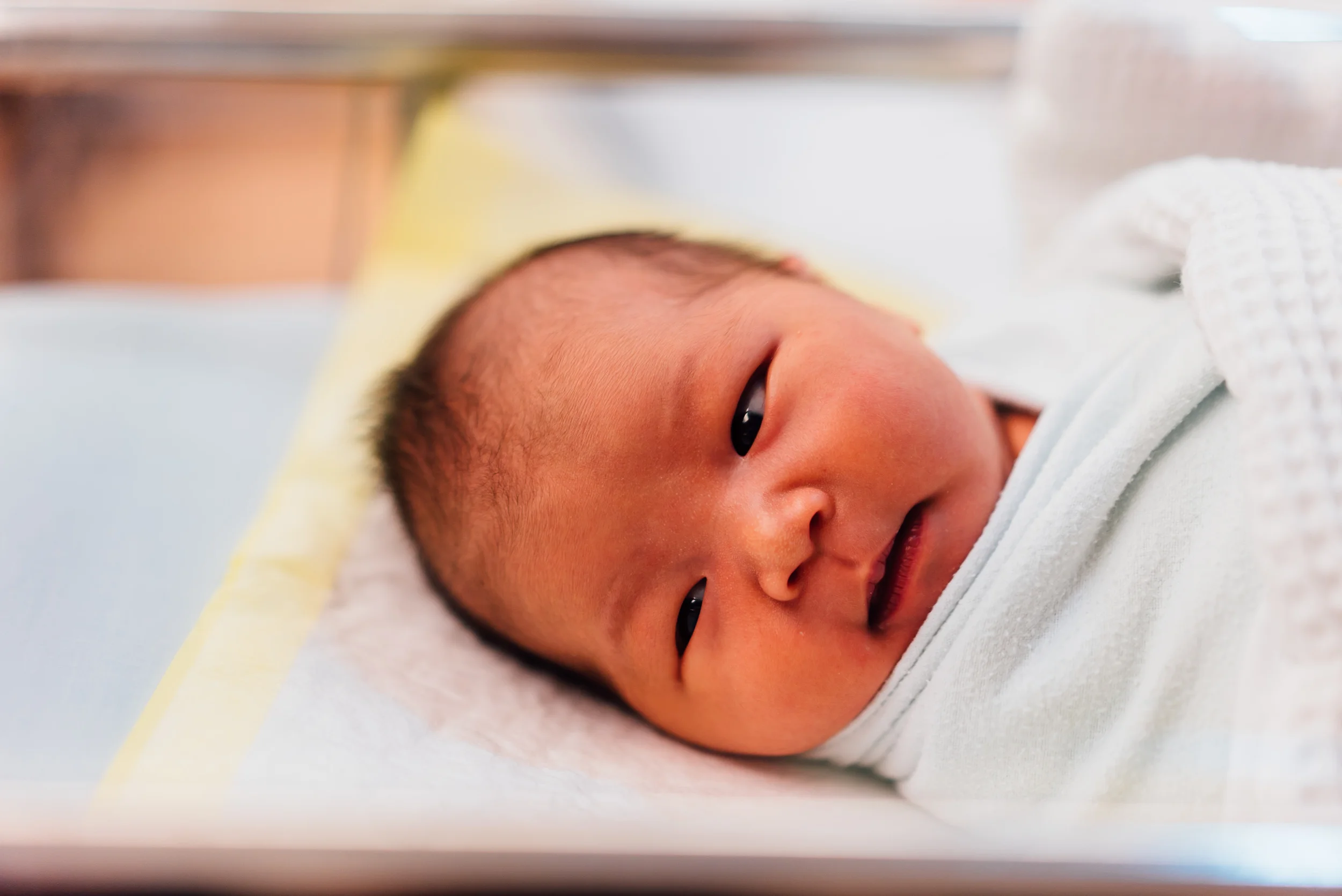 Celebrating the Birth of Chrishaun — Chris Chang Photography